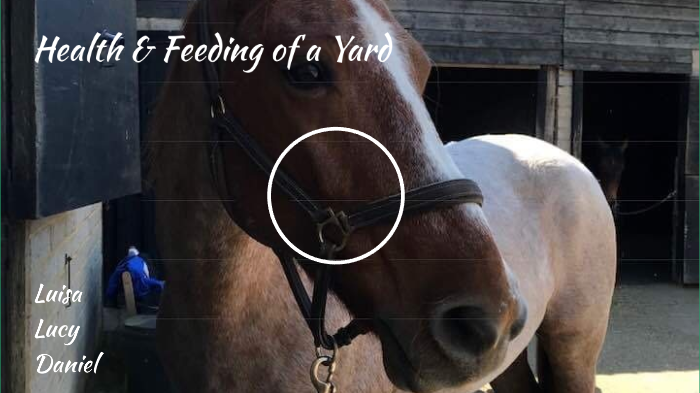 Health Feeding Project by Daniel Gothard on Prezi