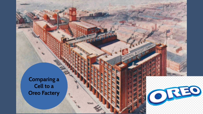 comparing organelles to a oreo factory by Emmerson Tremblay on Prezi