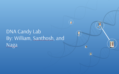 DNA Candy Lab by William Kang on Prezi