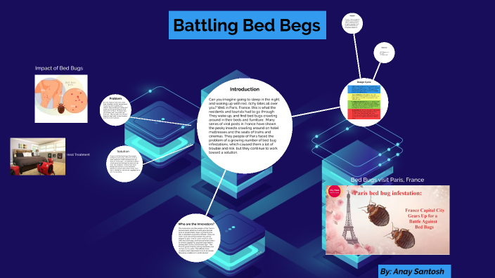 Bed Bug Infestation Paris, France by Anay Santosh on Prezi