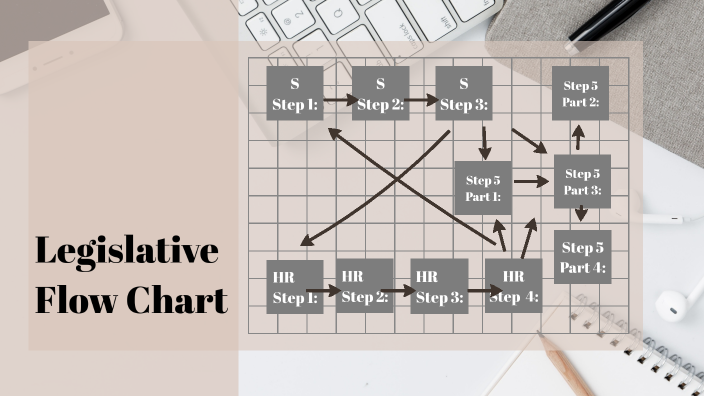 Legislative Flow Chart by Olivia Johnson on Prezi