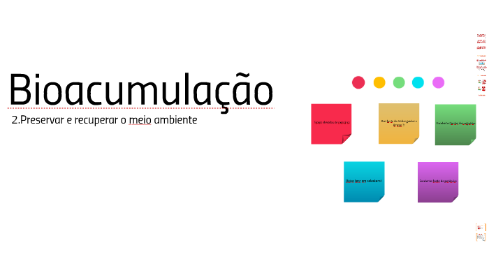 Bioacumulação by Maria Carvalho on Prezi