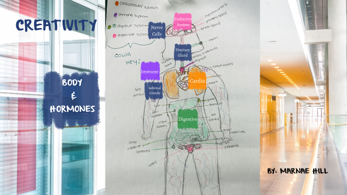 ANATOMY FINAL PROJECT by Marnae Hill on Prezi