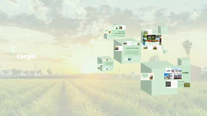 Cargill: A Global Leader in Agriculture and Food Production by Luis ...
