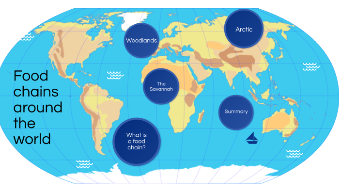 Food Chains Around the World by Rachel Flynn on Prezi