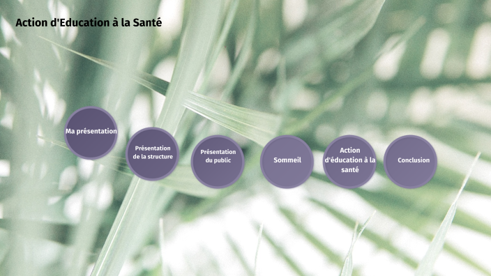 Diapo E33 by Majdoline Ameur on Prezi