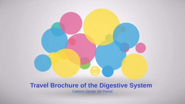 Travel Brochure of the Digestive System by Caelynn Sander on Prezi