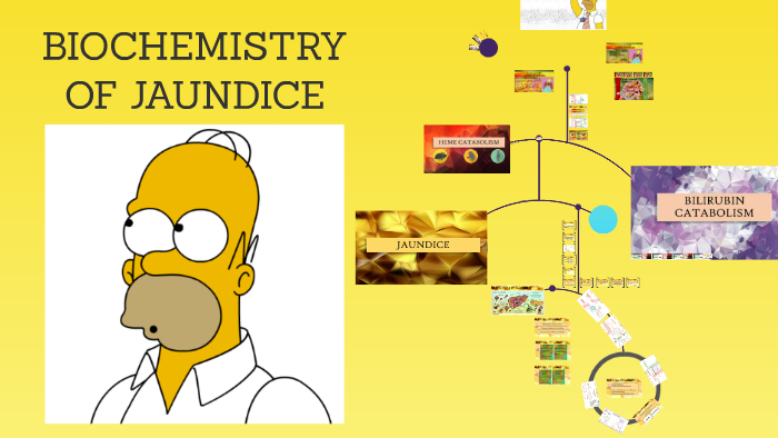 BIOCHEMISTRY OF JAUNDICE by on Prezi