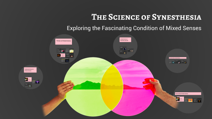 The Science of Synesthesia by Giorgia Campanale on Prezi