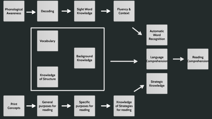 cognitive model of reading flow chart by Sydnie Denis on Prezi