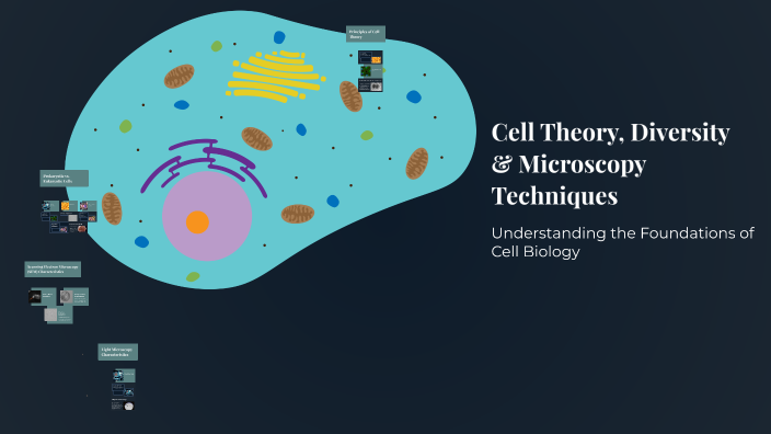Cell Theory, Diversity & Microscopy Techniques by Elvin Castro on Prezi