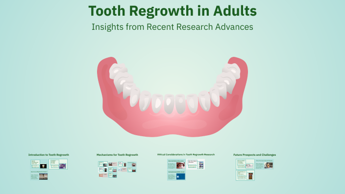 Tooth Regrowth in Adults: Insights from Recent Research by sogand ...