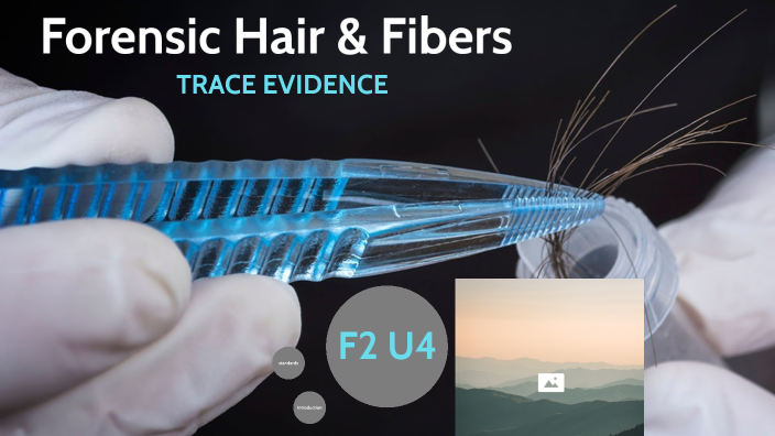 Forensic Hair & Fiber Analysis by Cynthia Miller on Prezi