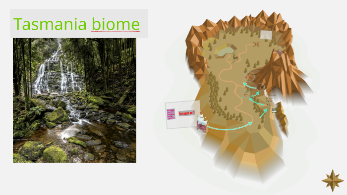 Tasmania biome by oscar mata on Prezi