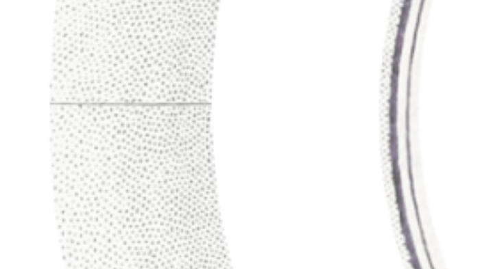 HISTORIA DE LA PSICOLOGÍA by Laurith Quintero on Prezi