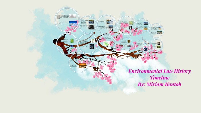 Environmental Law History Timeline by on Prezi