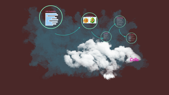 Cell Process by Reagan Wexelman on Prezi