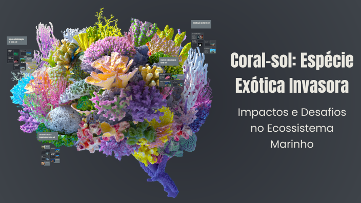 Coral-sol: Espécie Exótica Invasora by Ana Sofia Rodrigues Ferreira on ...