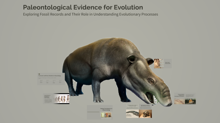 Paleontological Evidence for Evolution by ивелина кк on Prezi