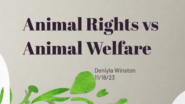 Animal Rights vs Welfare by Misssniyla on Prezi