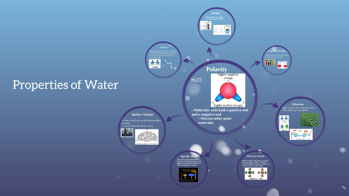 Properties of Water by on Prezi