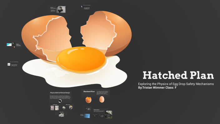 Hatched Plan by Tristan Wimmer on Prezi