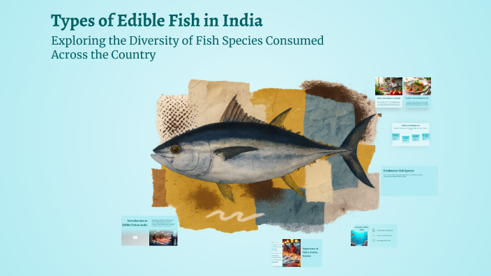 Types of Edible Fish in India by Rajnish chaudary on Prezi