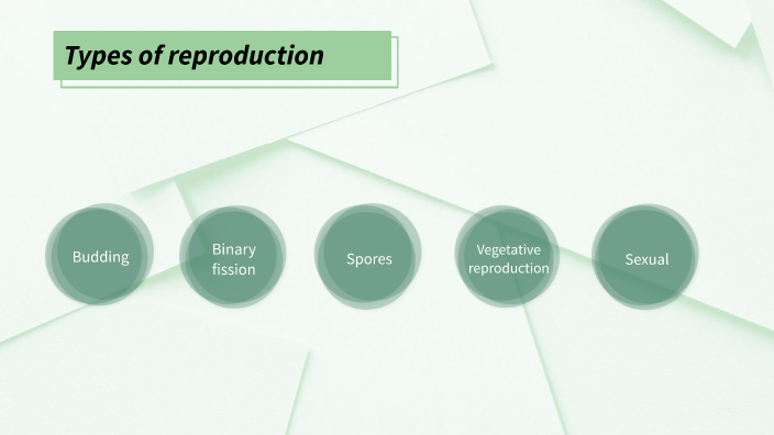 Types of reproduction by Arabella Harris on Prezi