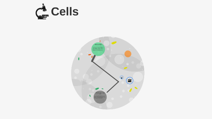 Cells by Harry Grimes on Prezi