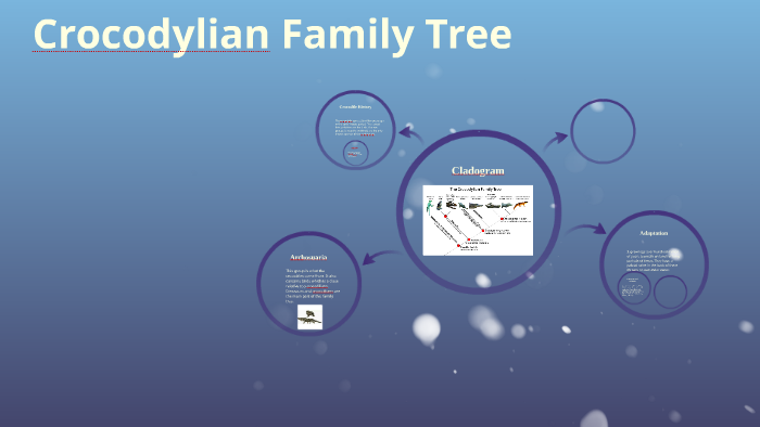 Crocodilian Family Tree by Dario Ruff on Prezi
