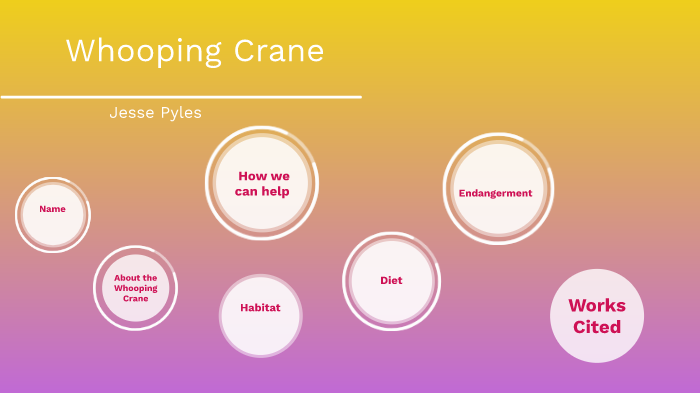 Conservation Project by Jesse Pyles on Prezi