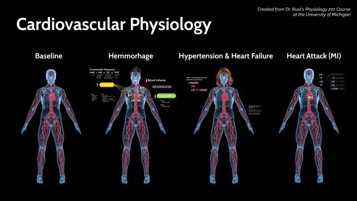 PHYSIOL 201 CV by Yusra Sannah on Prezi