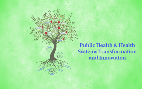 Public Health & Health Systems Transformation and Innovation by Caitlin ...