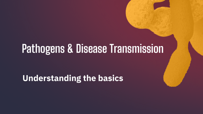 Pathogens & Disease Transmission by Andrew Sakr on Prezi