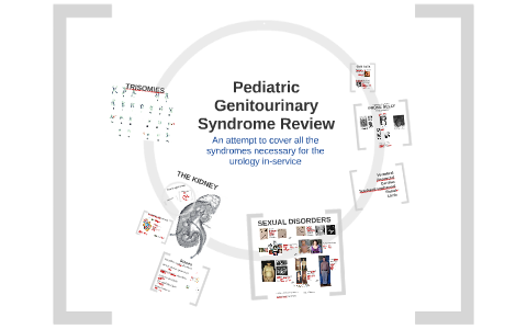 Pediatric genitourinary syndrome review by Christopher Bayne on Prezi