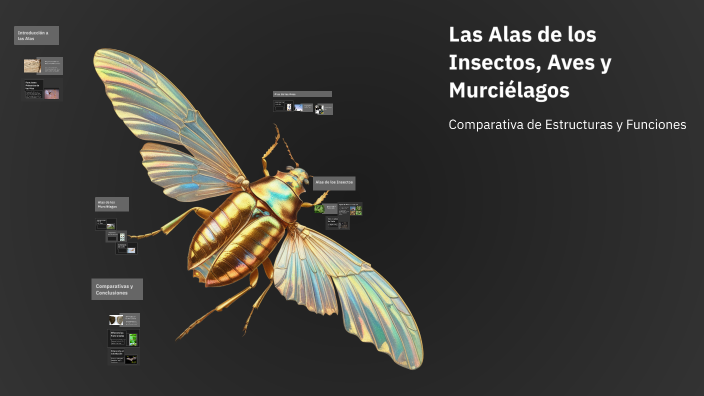 Las Alas de los Insectos, Aves y Murciélagos by Luis lopez on Prezi
