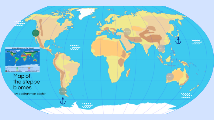 steppe biomes by Abdi Bashir on Prezi