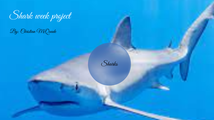 Shark week Poroject by Christian McQuade on Prezi