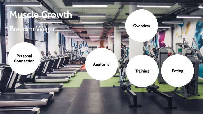 Gym by braeden wagar on Prezi