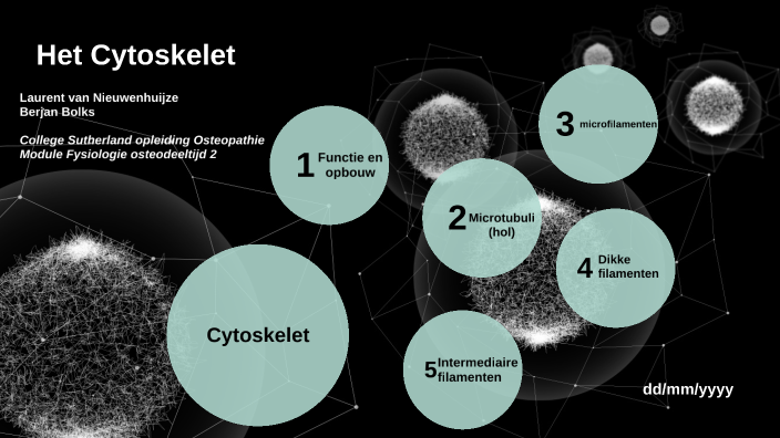 Cytoskelet by Berjan Bolks on Prezi