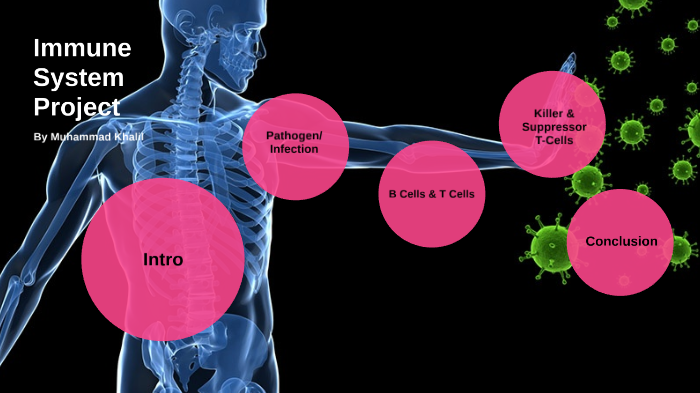 Immune System Project - Muhammad by Muhammad Khalil on Prezi