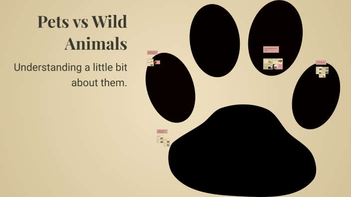 Pets vs Wild Animals by Pedro Henrique on Prezi