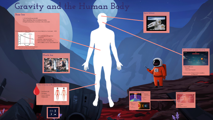 Gravity and the Human body by Romane Emilie on Prezi