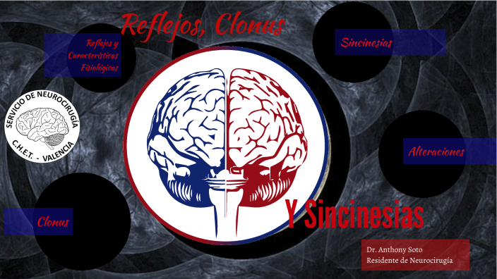 Reflejos, clonus y sincinecias by Anthony Soto on Prezi