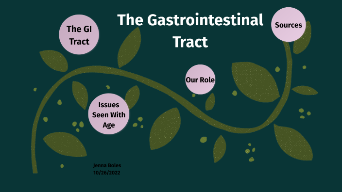 Gastrointestinal Tract by Jenna Boles on Prezi