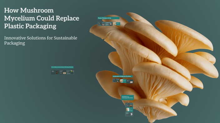 How Mushroom Mycelium Could Replace Plastic Packaging by Ayush C on Prezi