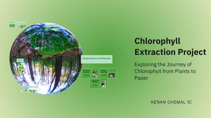 Chlorophyll Extraction Project by Kenan Chemal on Prezi