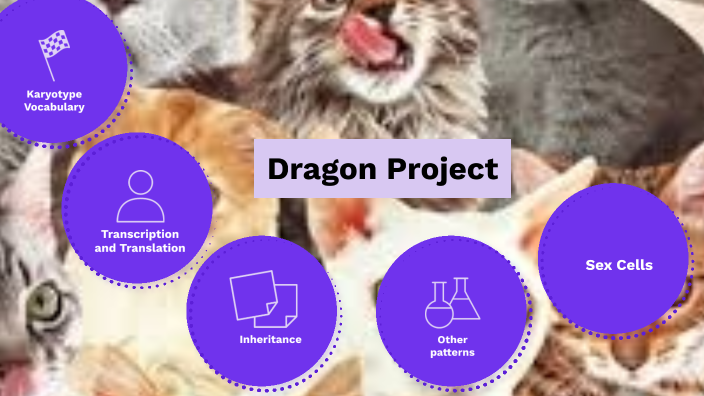 Dragon Vocabulary by h tat on Prezi