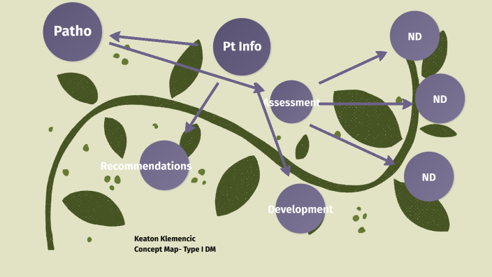 Concept Map- Type I DM by Keaton Klemencic on Prezi