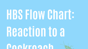 HBS Flow Chart by Katie Anakalea on Prezi Design